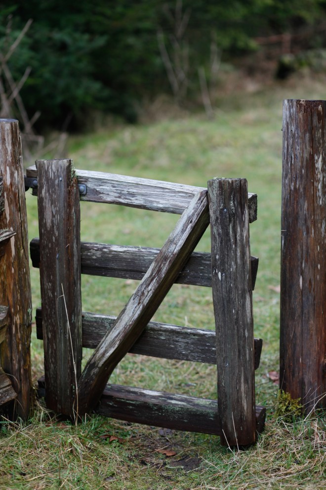 Cob Cottage Craft | small island life